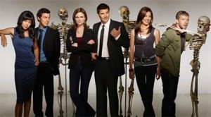 Focus sur Bones